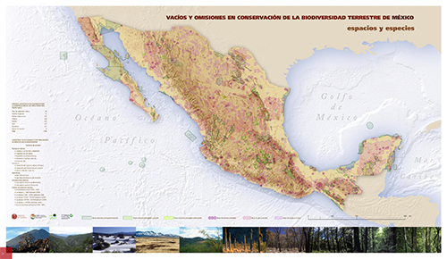 Sitios Prioritarios Para La Conservación De La Biodiversidad Terrestre